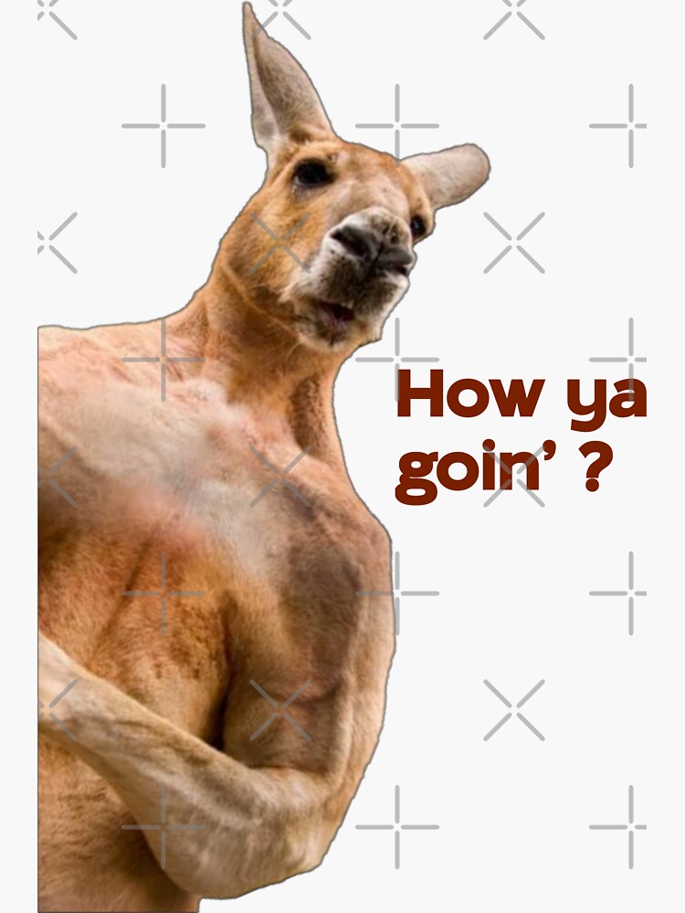 "Funny Kangaroo Quote Australian Meme Sticker Design" Sticker for Sale ...