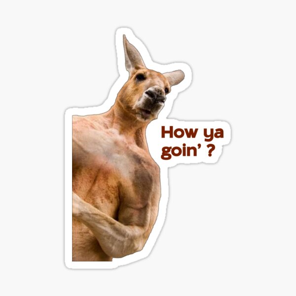 "Funny Kangaroo Quote Australian Meme Sticker Design" Sticker for Sale ...