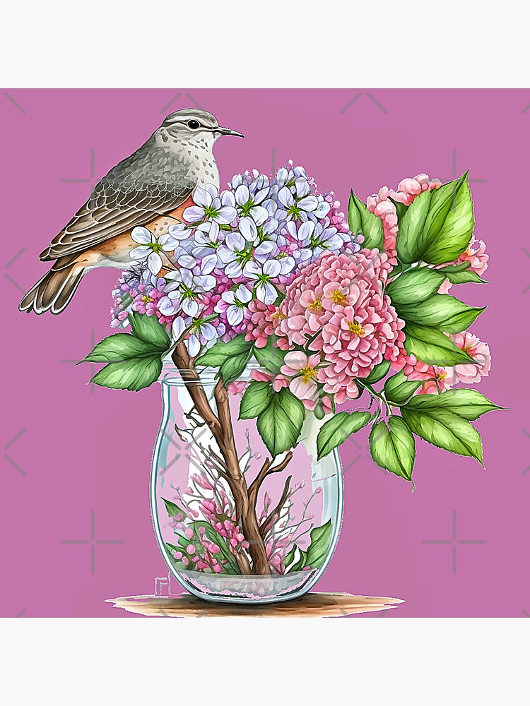 "Connecticut State Bird Robin and Flower Mountain Laurel" Sticker for ...