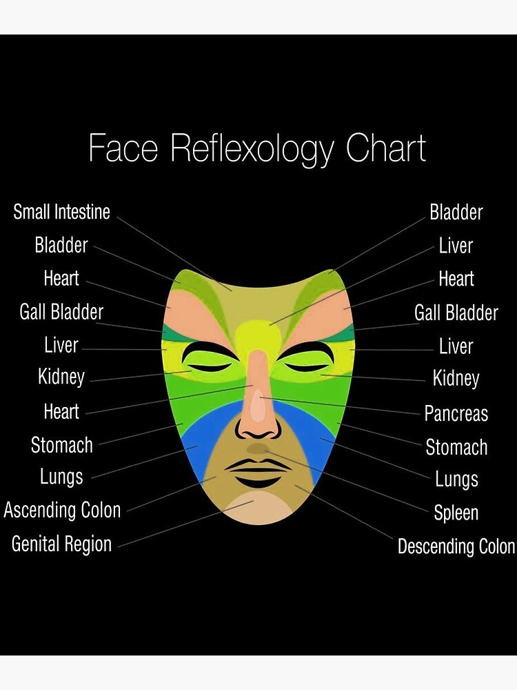 "Face Reflexology Map - Chart Anatomy Massage Face Relaxation" Poster ...