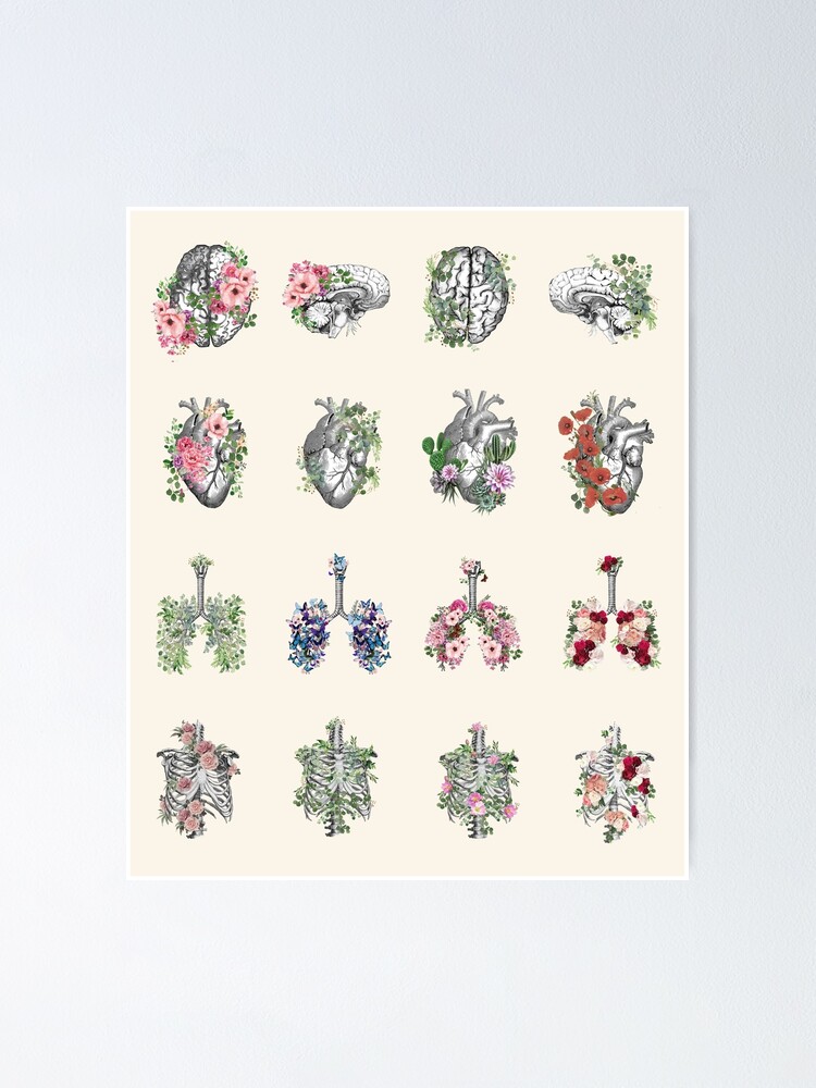"Floral Human anatomy, parts of human anatomy, heart, brain, lungs, rib ...