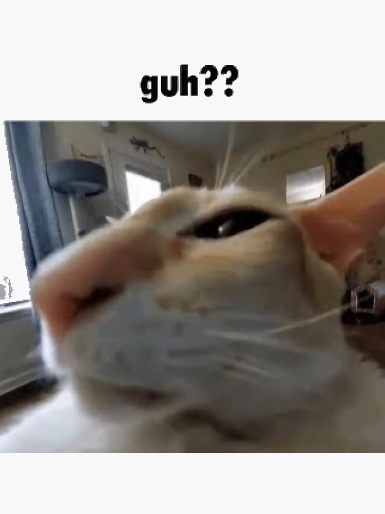 "guh?? Cat" Sticker by ADHSTMeme | Redbubble