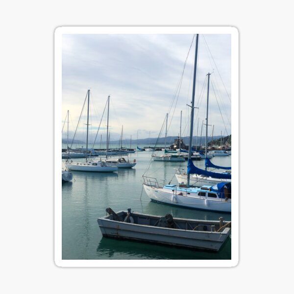 "Yachts At Port Nicholson Yacht Club In Wellington" Sticker for Sale by ...
