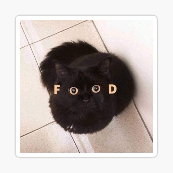 "Cat Food sticker for hydroflask black cat funny " Sticker for Sale by ...