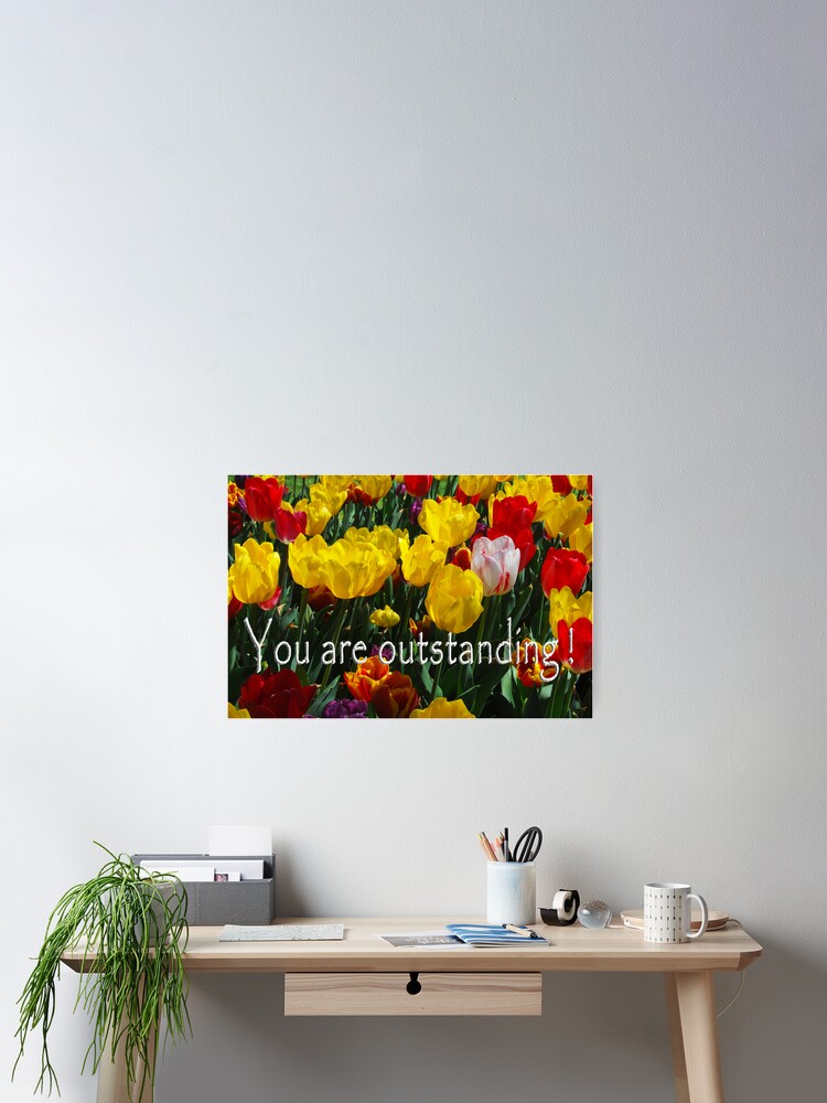 "You are outstanding!" Poster for Sale by George Petrovsky | Redbubble