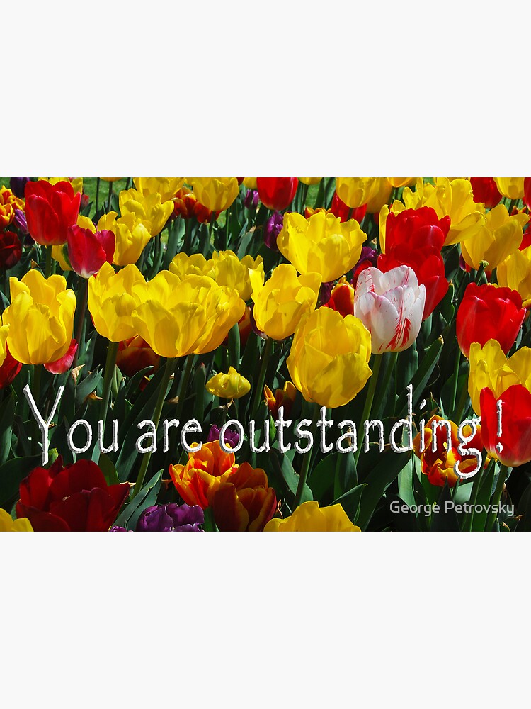 "You are outstanding!" Poster for Sale by George Petrovsky | Redbubble