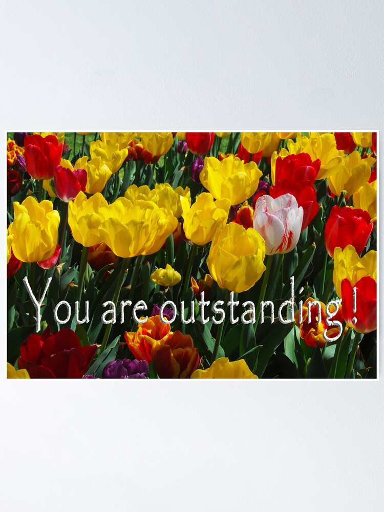 "You are outstanding!" Poster for Sale by George Petrovsky | Redbubble