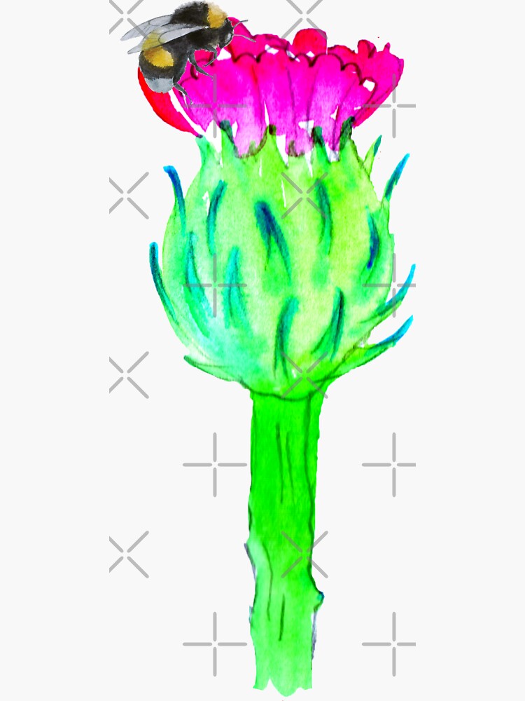 "Watercolor Scottish Thistle And Bumblebee" Sticker for Sale by virillanissa | Redbubble