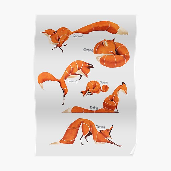 "Fox poses " Poster for Sale by saeiart | Redbubble