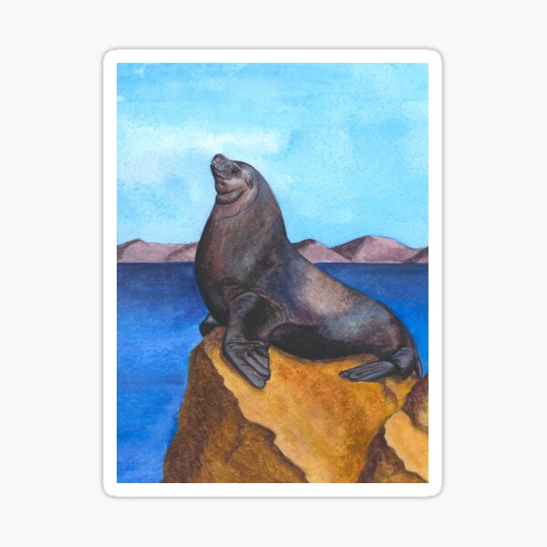 "Basking on the Rocks" Sticker for Sale by LGOGDEN | Redbubble