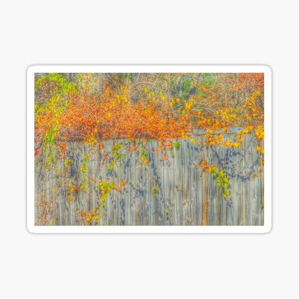 "Autumn ~ Orange Glowing Leaves over the Fence" Sticker for Sale by SXW ...
