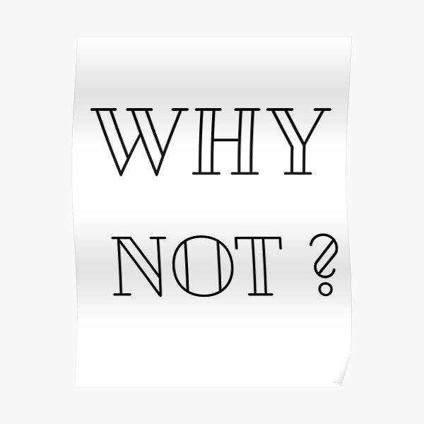 "WHY NOT ? " Poster for Sale by willowncattails | Redbubble