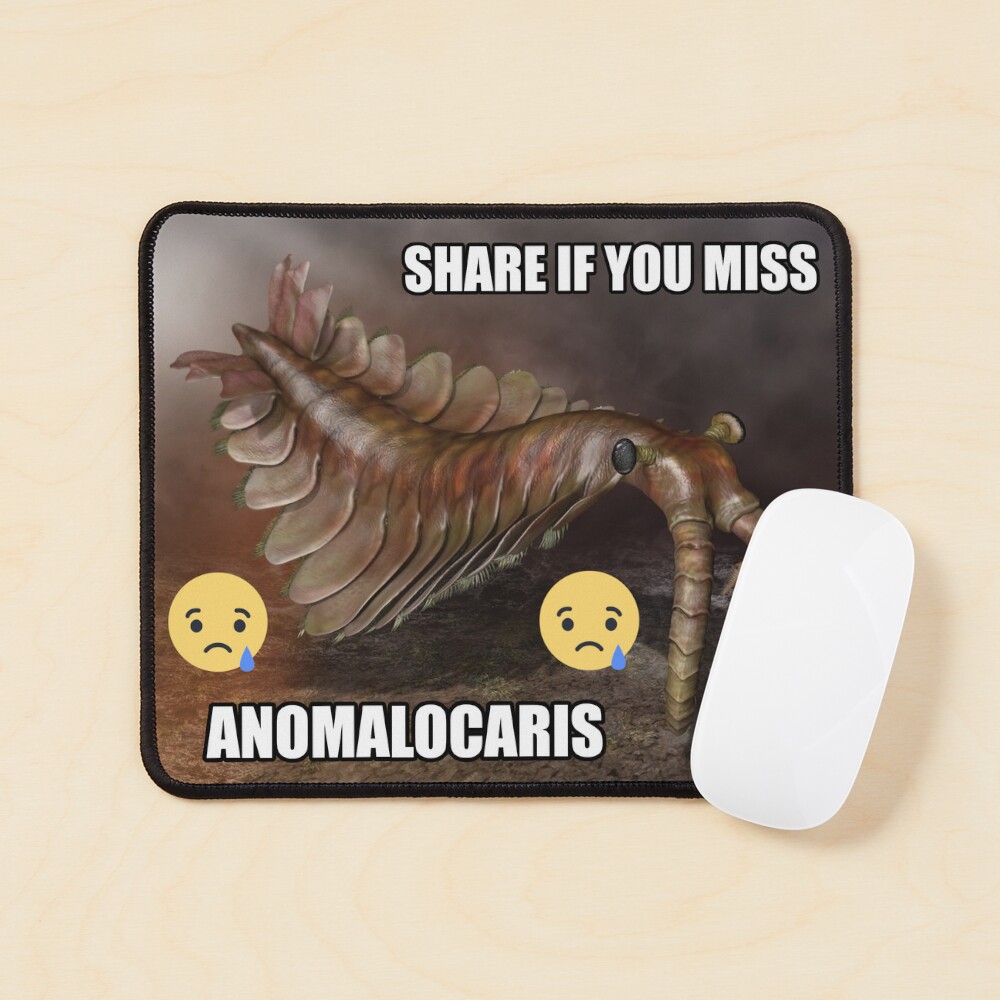 "Share If You Miss Anomalocaris Meme Tribute Cambrian Era Fossil" Art Board Print for Sale by ...