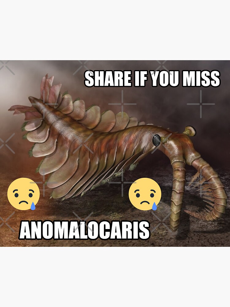 "Share If You Miss Anomalocaris Meme Tribute Cambrian Era Fossil ...
