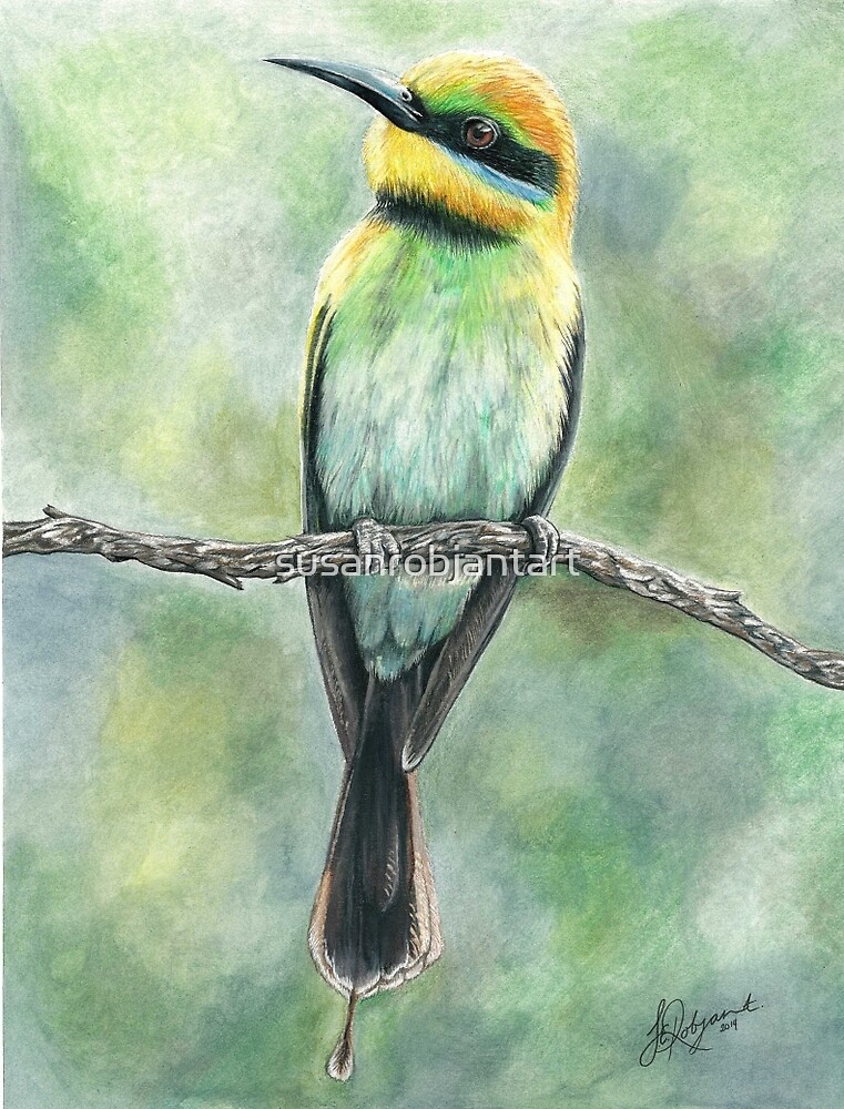 ""Rainbow Bee Eater"" by susanrobjantart | Redbubble