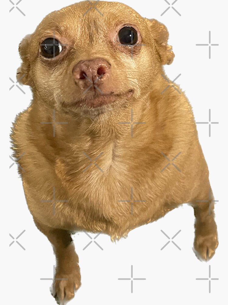 "Piggy Mouse" Sticker for Sale by Cheddariniii | Redbubble