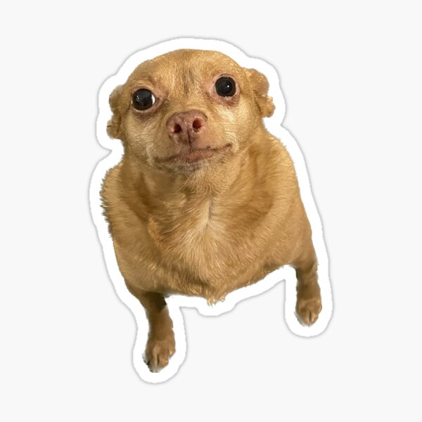 "Piggy Mouse" Sticker for Sale by Cheddariniii | Redbubble