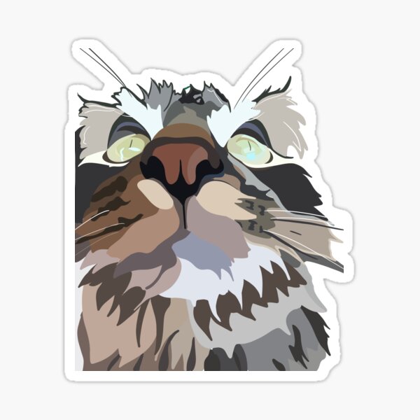 "Maine Coon .5 Zoom" Sticker for Sale by digitalartbyemi | Redbubble