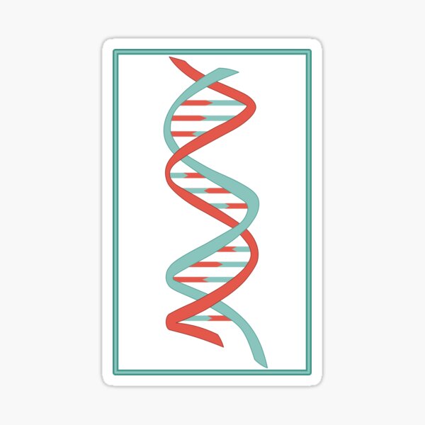 "DNA Double Helix" Sticker for Sale by RoeArtwork | Redbubble
