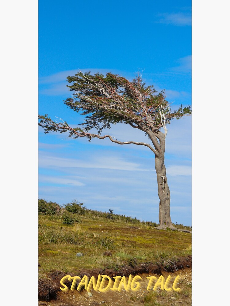 "Standing Tall" Sticker for Sale by Lifestyles21 | Redbubble