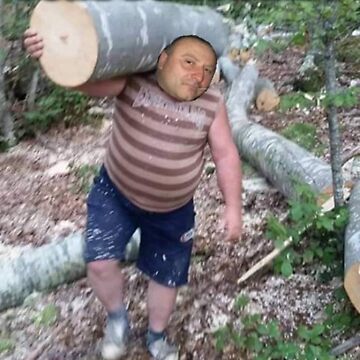 "Srbenda" Sticker for Sale by petric92 | Redbubble