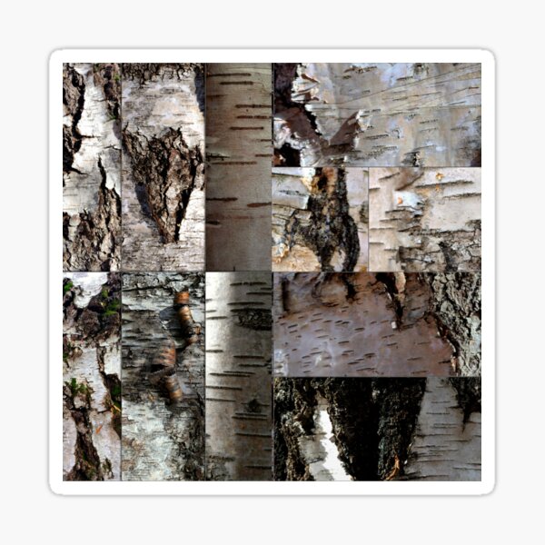"Decorative birch bark mosaic" Sticker for Sale by AdioraStore | Redbubble