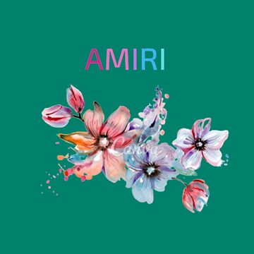"AMIRI 2" Poster for Sale by llystrieutkais | Redbubble