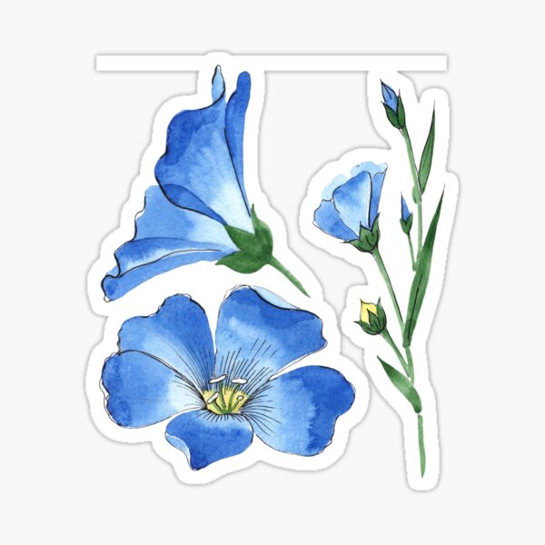 "blooming flax flower with leaves and buds" Sticker for Sale by ...