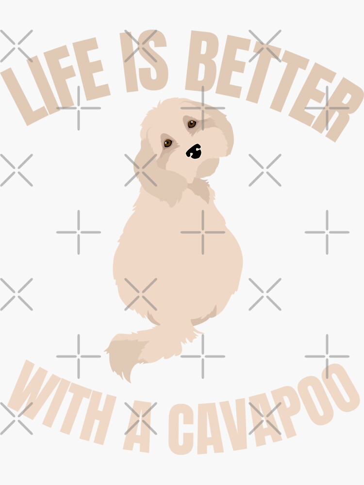"Life Is Better With A Cavapoo - cute cavapoo dog" Sticker for Sale by ...