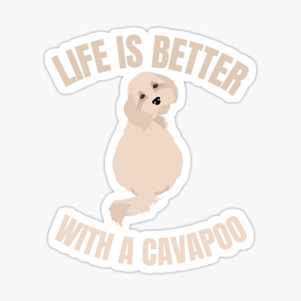 "Life Is Better With A Cavapoo - cute cavapoo dog" Sticker for Sale by ...