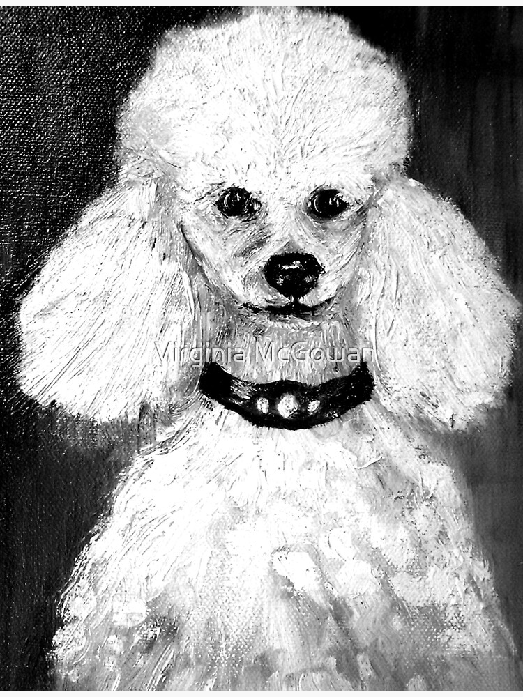 "Charlie the Poodle " Sticker by ginnymac | Redbubble