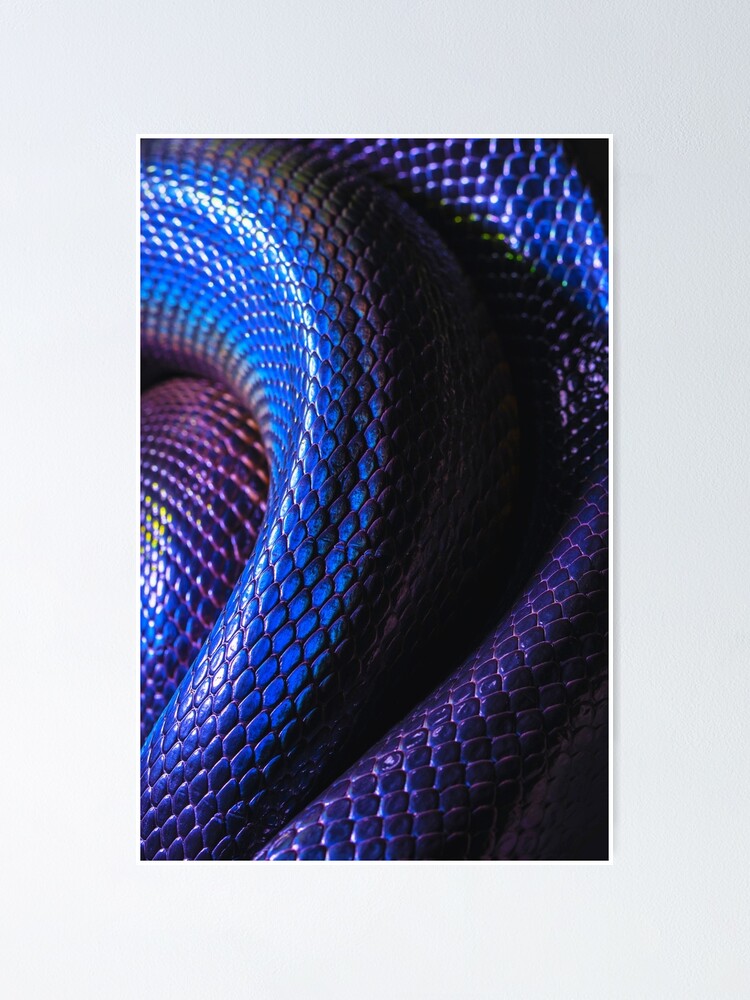 "Shiny snake" Poster for Sale by Spectrae | Redbubble