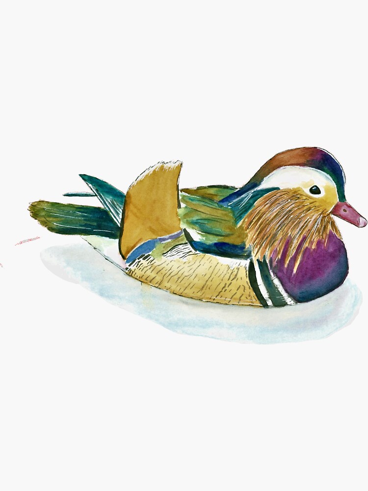 "Mandarin Duck" Sticker for Sale by Sarah-Addy-Art | Redbubble