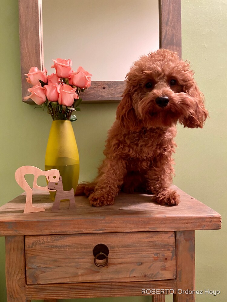 "Jared " Sticker for Sale by BOBBYBABE | Redbubble