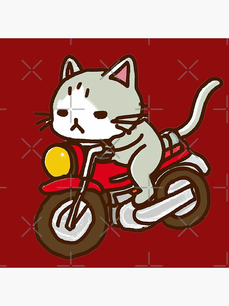 "Cute cat riding a bike" Poster for Sale by Right-Fit27 | Redbubble