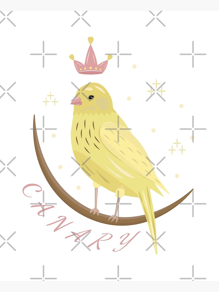 "Canary, cute colorful illustration" Poster for Sale by OM-lova | Redbubble