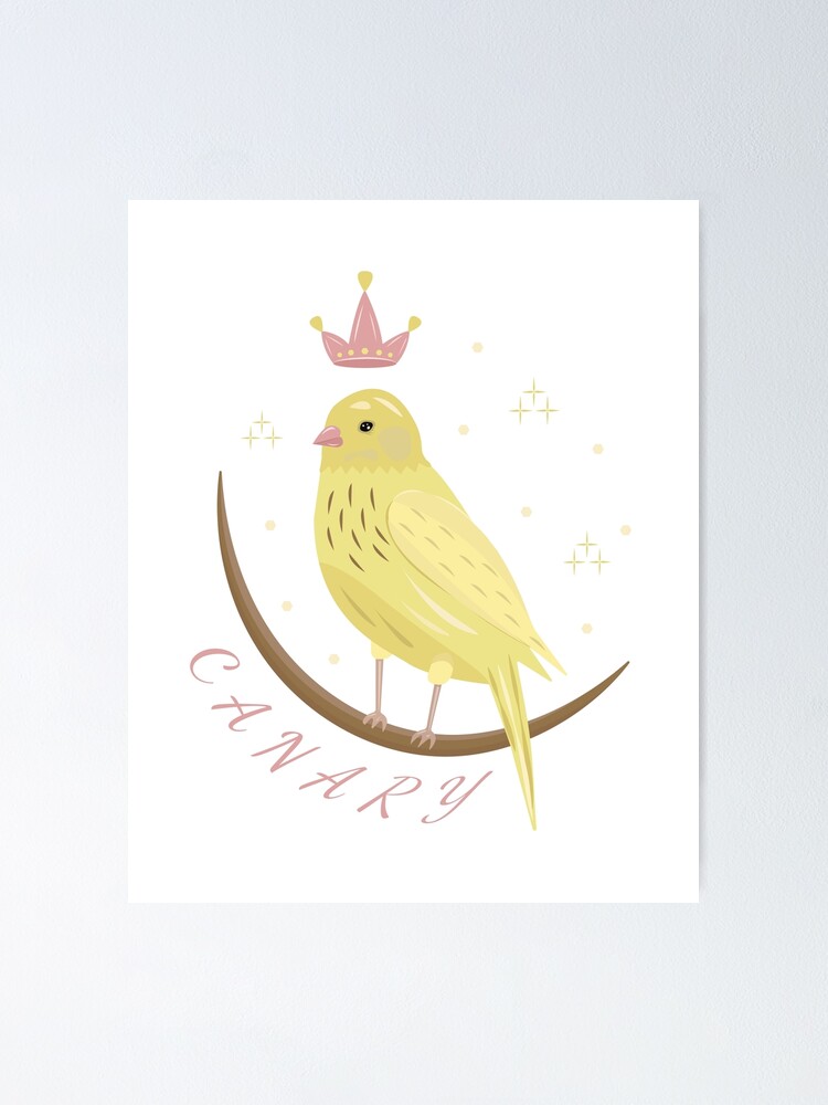 "Canary, cute colorful illustration" Poster for Sale by OM-lova | Redbubble