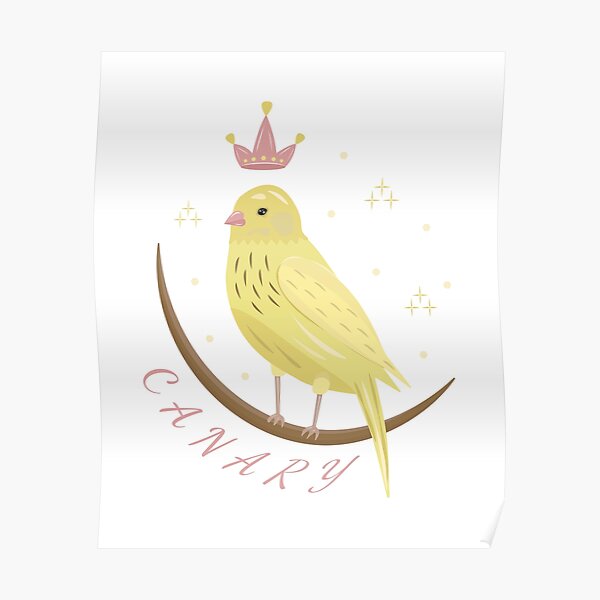 "Canary, cute colorful illustration" Poster for Sale by OM-lova | Redbubble