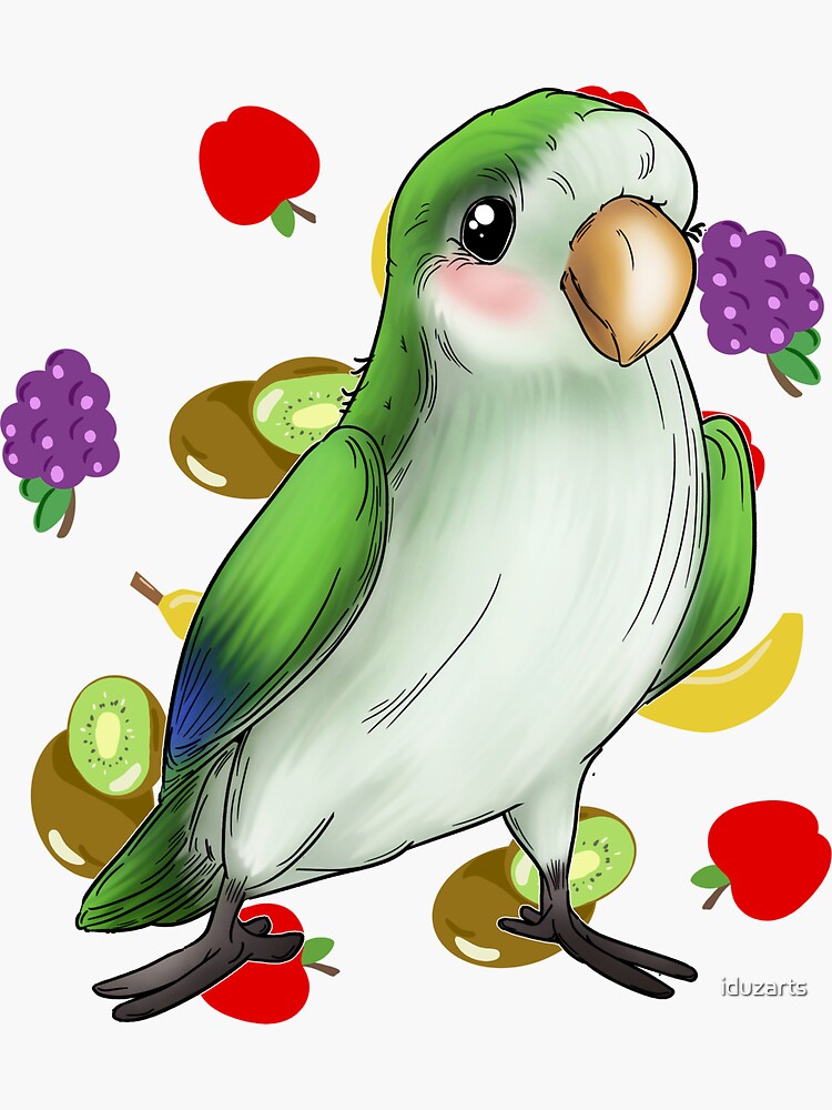 "Cute Quaker Parrot with Fruit Bunch Background" Sticker for Sale by ...