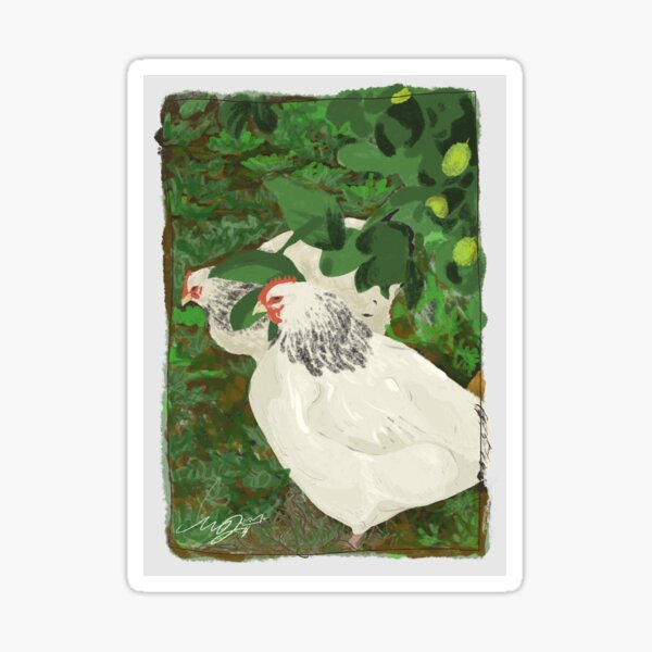 "Farm Hens" Sticker for Sale by peachespainting | Redbubble