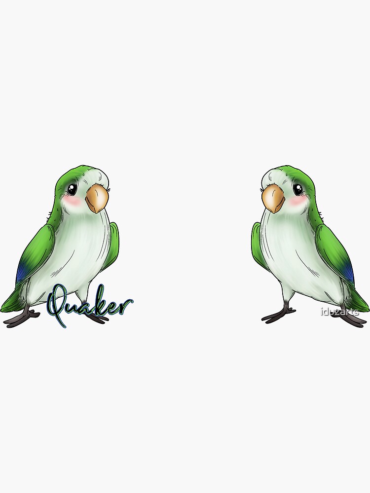 "Cute Quaker Parrot Mug with text" Sticker for Sale by iduzarts | Redbubble