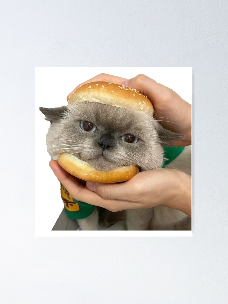 "Borger Cat" Poster for Sale by TheBigShop1 | Redbubble