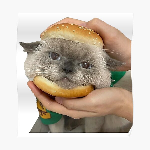 "Borger Cat" Poster for Sale by TheBigShop1 | Redbubble