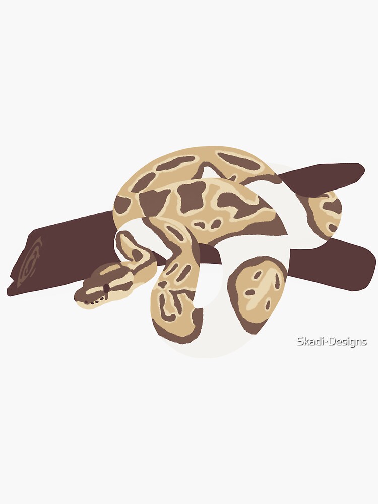 "Pied Ball python morph sunbathing" Sticker for Sale by Skadi-Designs ...