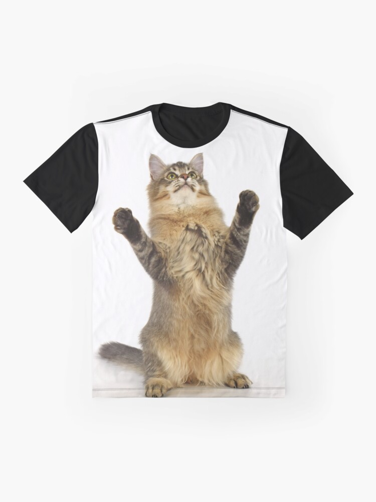 "Tiffanie cat standing on hind legs clapping paws" Graphic T-Shirt for ...