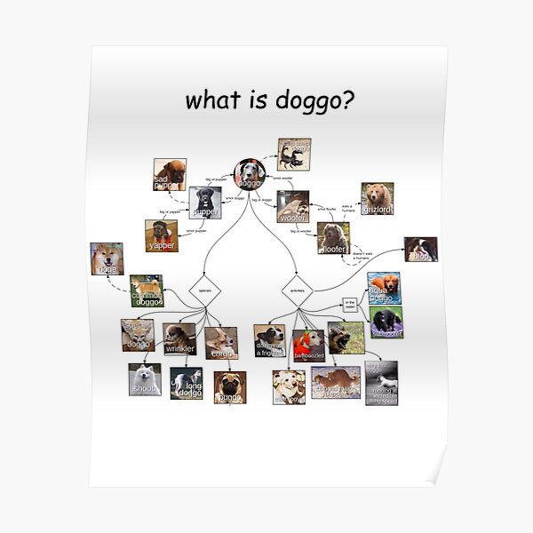 "Doggo chart" Poster for Sale by mrpopo8 | Redbubble