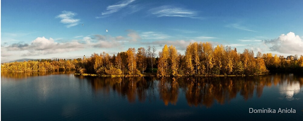 "Autumn in Oulu" by Dominika Aniola | Redbubble