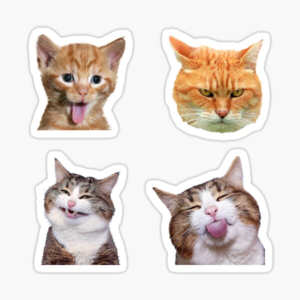 "Meme Cats Pack" Sticker for Sale by phatela | Redbubble