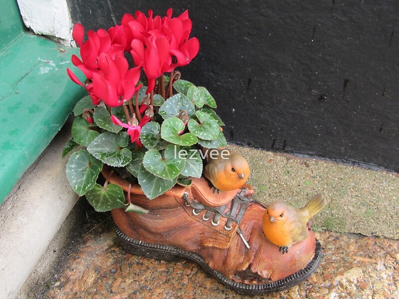 "Old Boot Planter" by lezvee | Redbubble