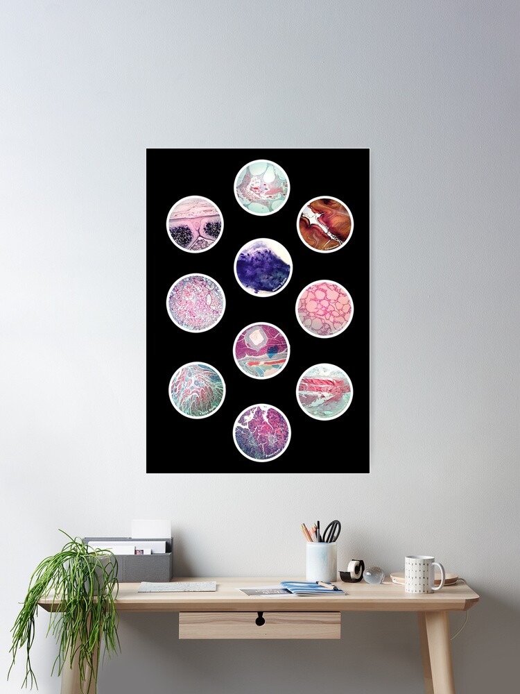 "Histology Slides" Poster for Sale by MVanHyll | Redbubble